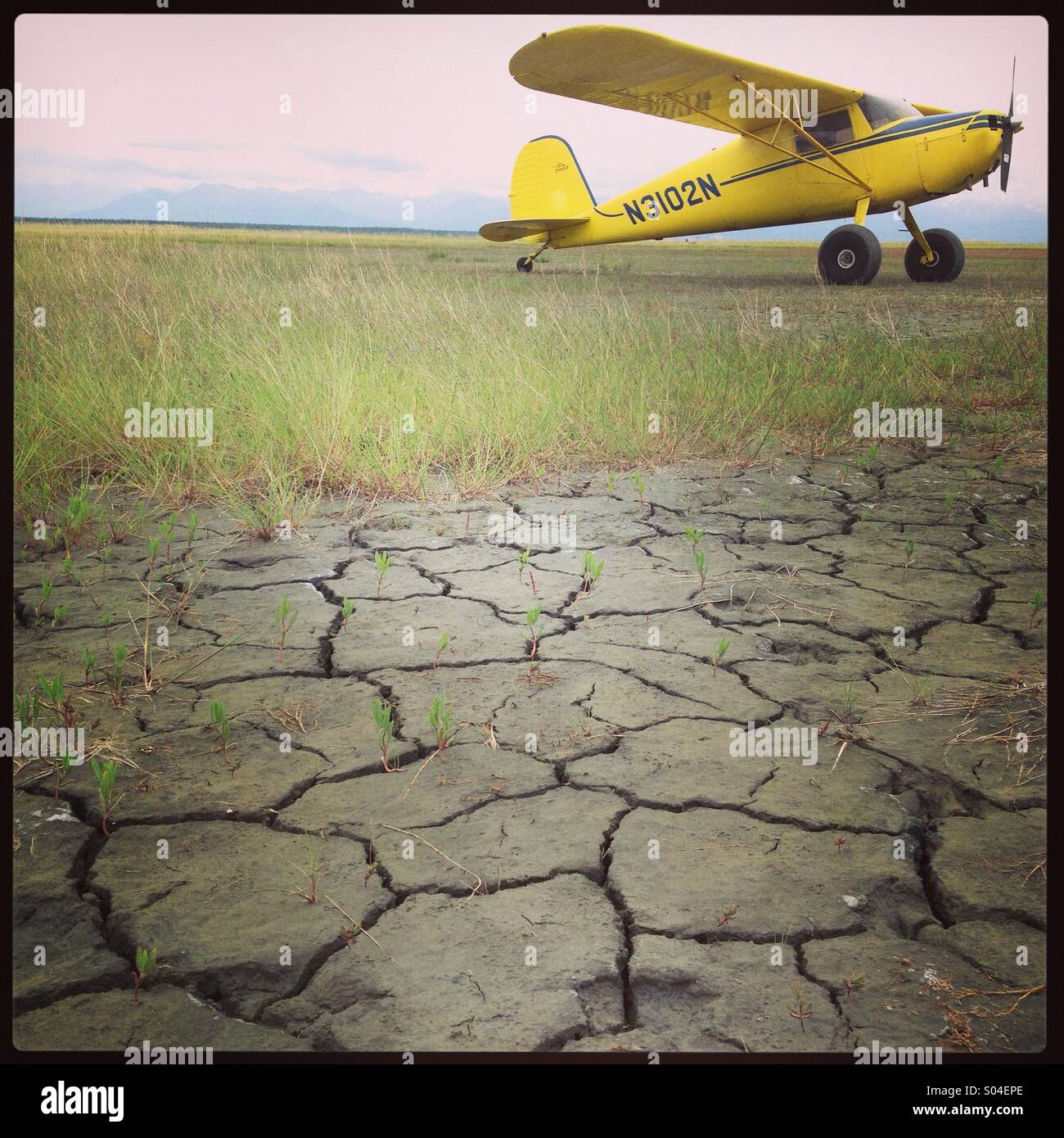 Yellow Cessna 120 bush plane with tundra tires parked on the Cook Inlet ...