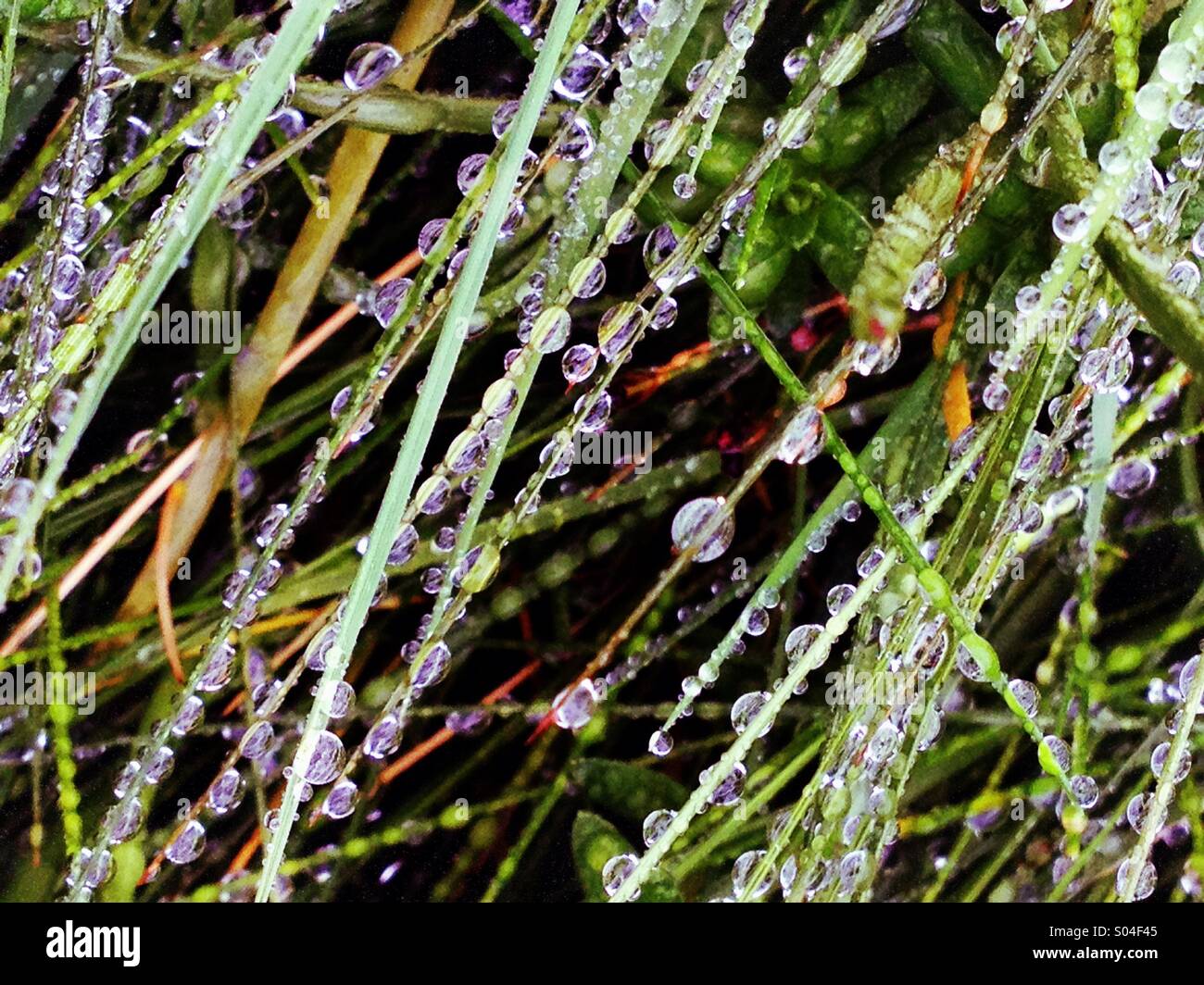 Its raining again hi-res stock photography and images - Alamy