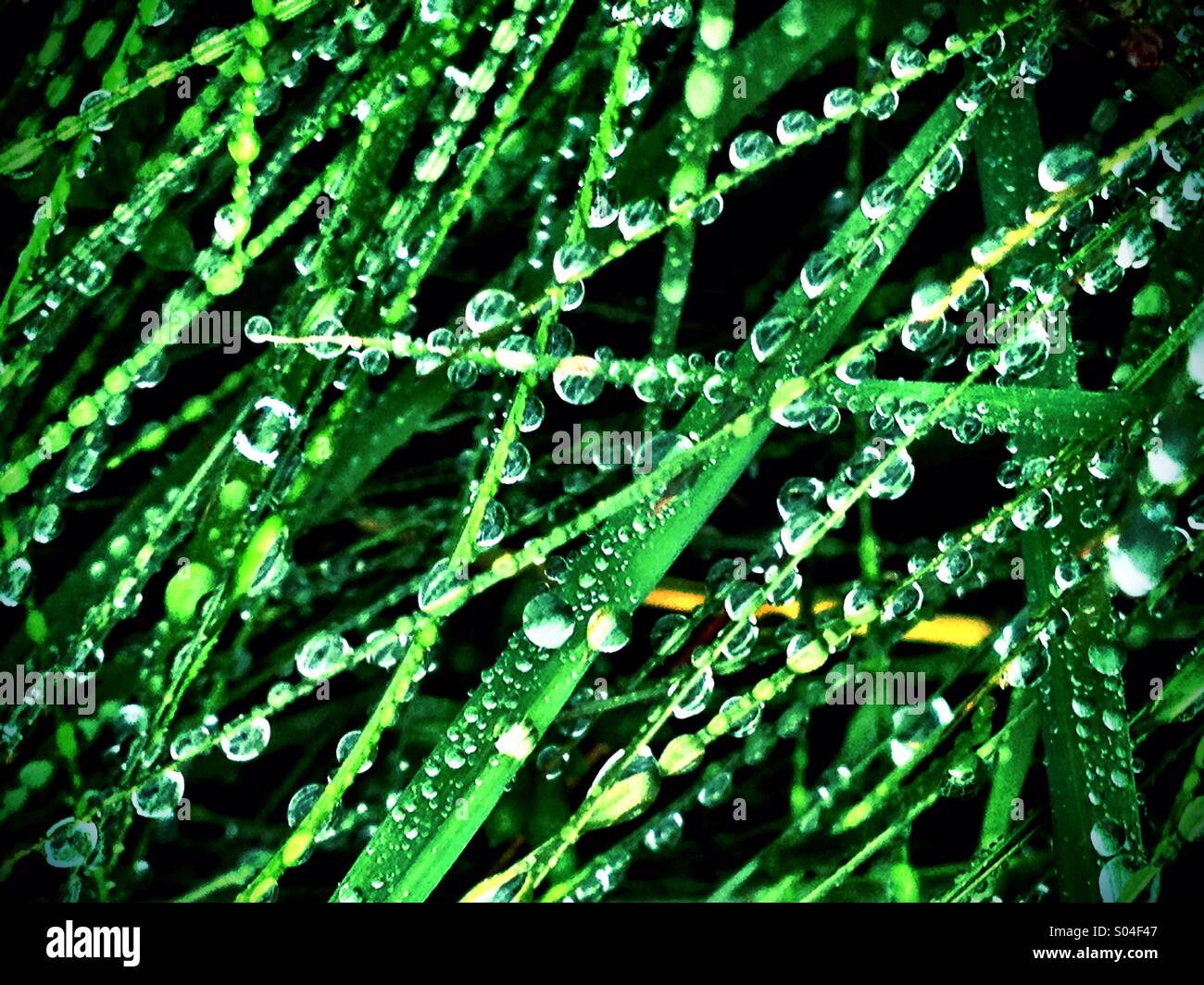 Or Else Expecting Rain Stock Photo - Alamy