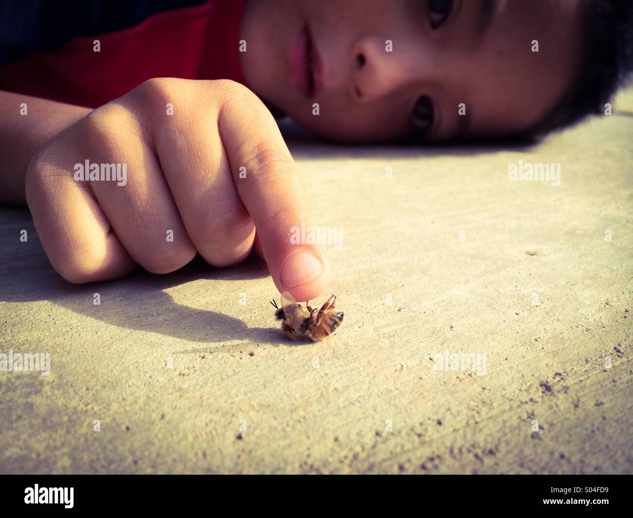 Boy bee sting hi-res stock photography and images - Alamy