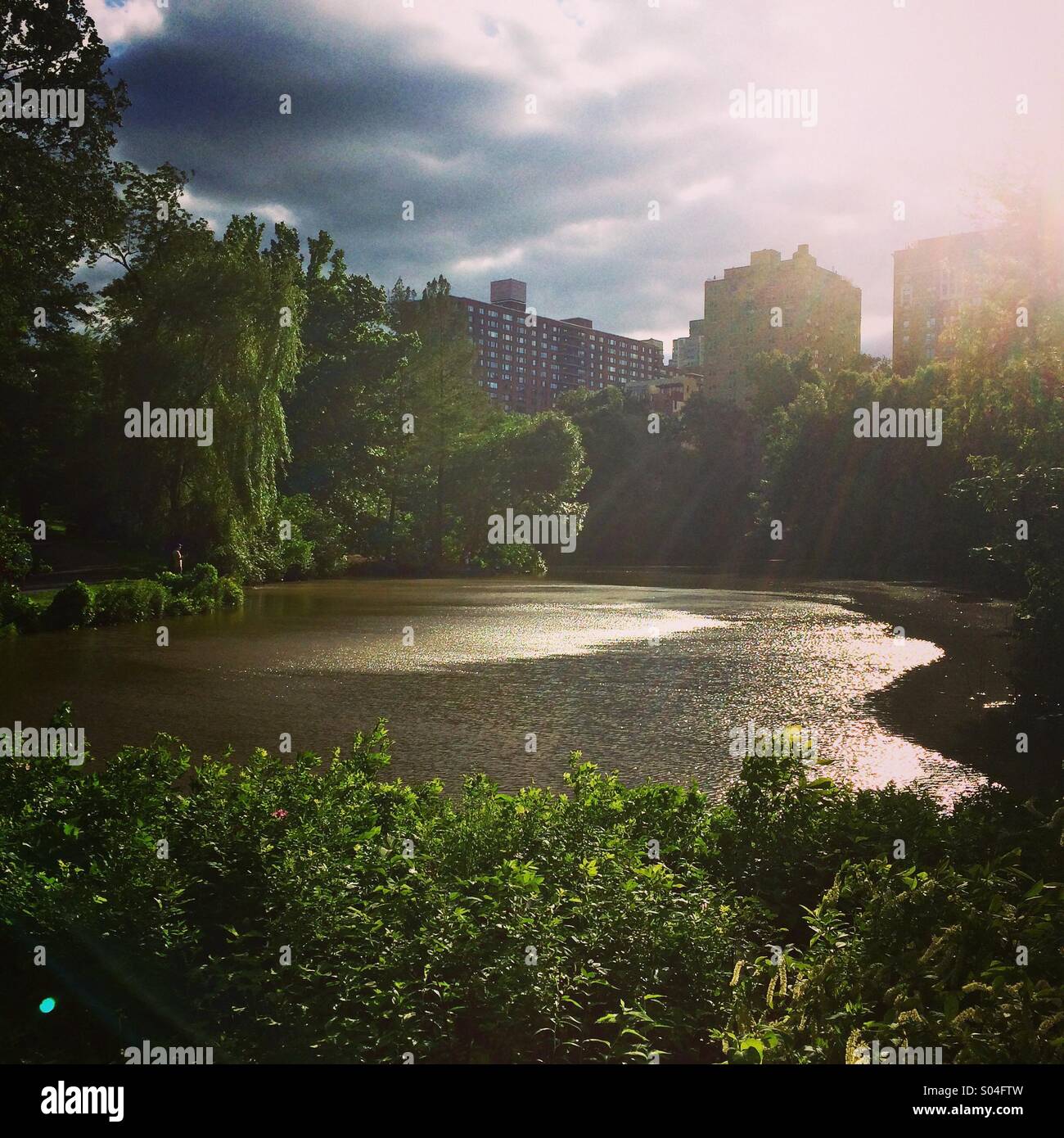 Windy pond hi-res stock photography and images - Alamy