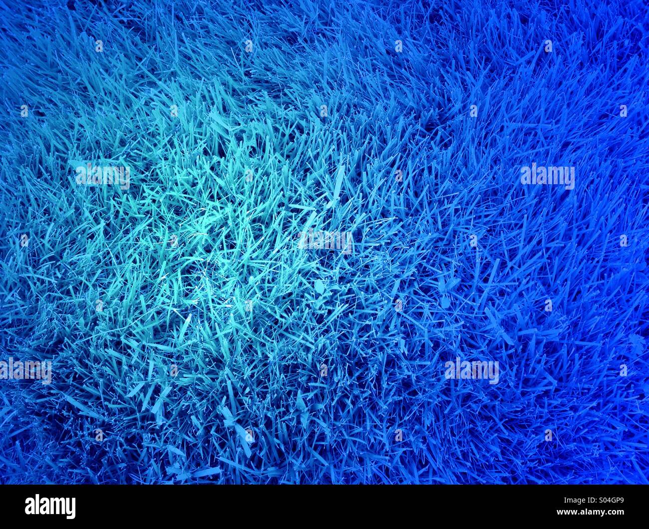 Bluegrass music hi-res stock photography and images - Alamy