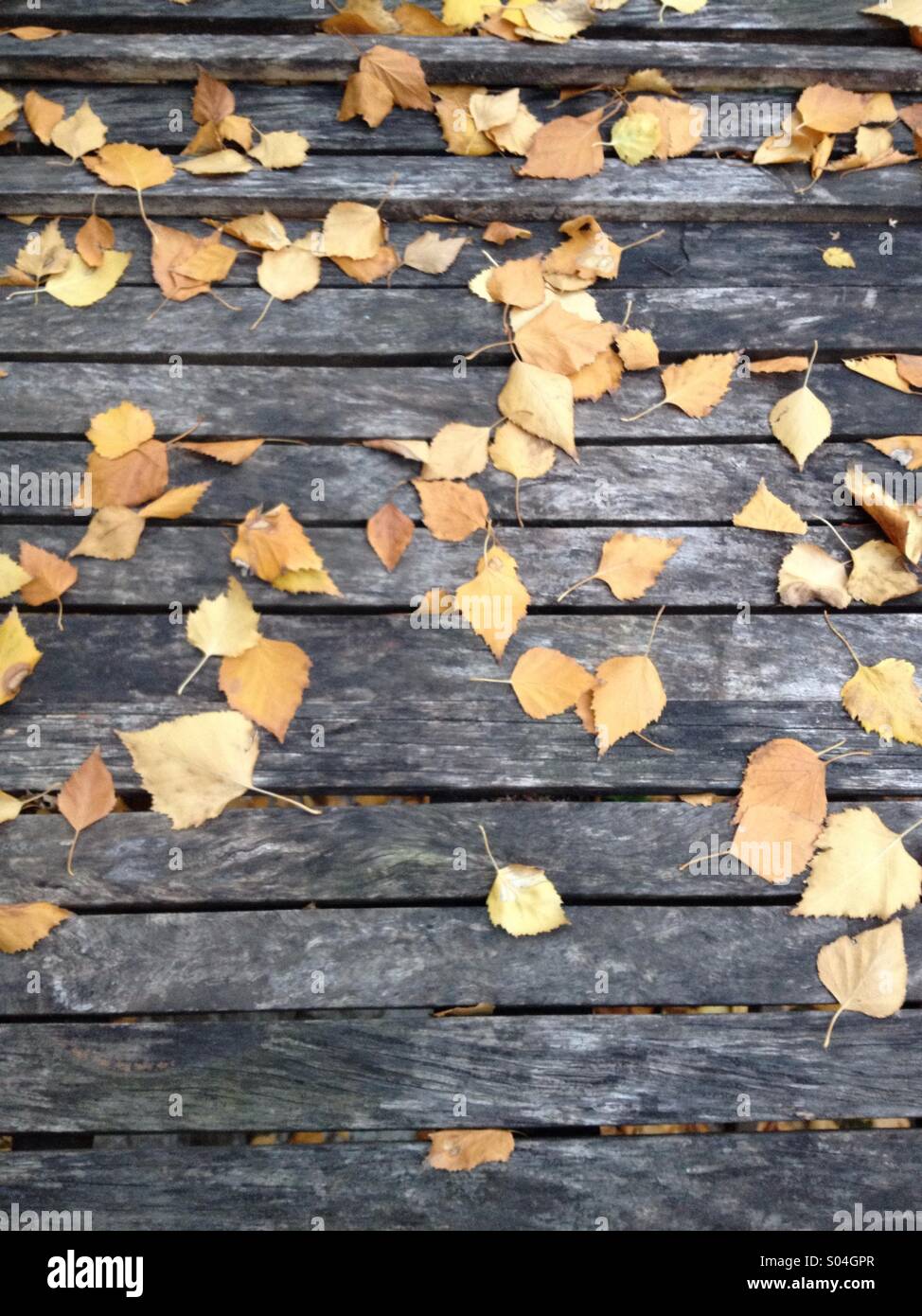Leaves table hi-res stock photography and images - Alamy