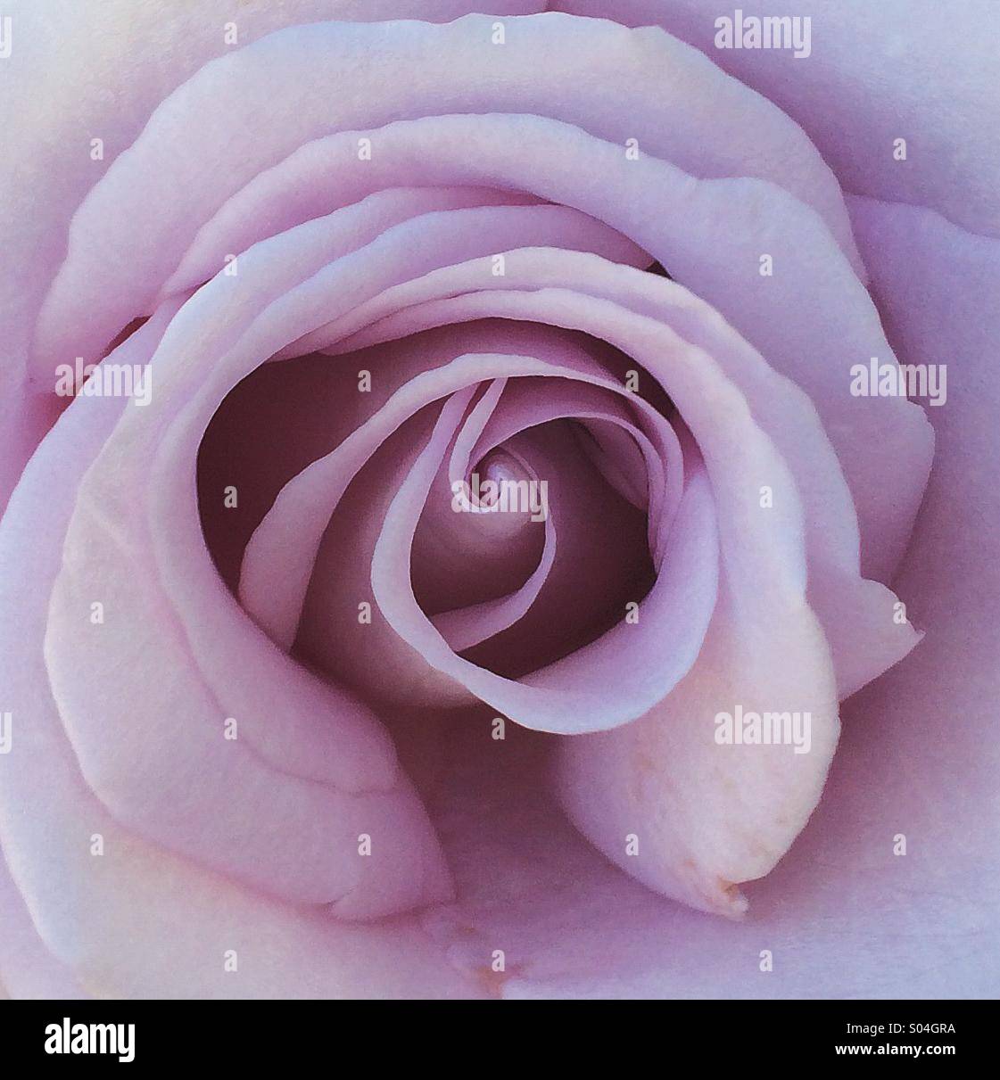 Unfolding High Resolution Stock Photography and Images - Alamy