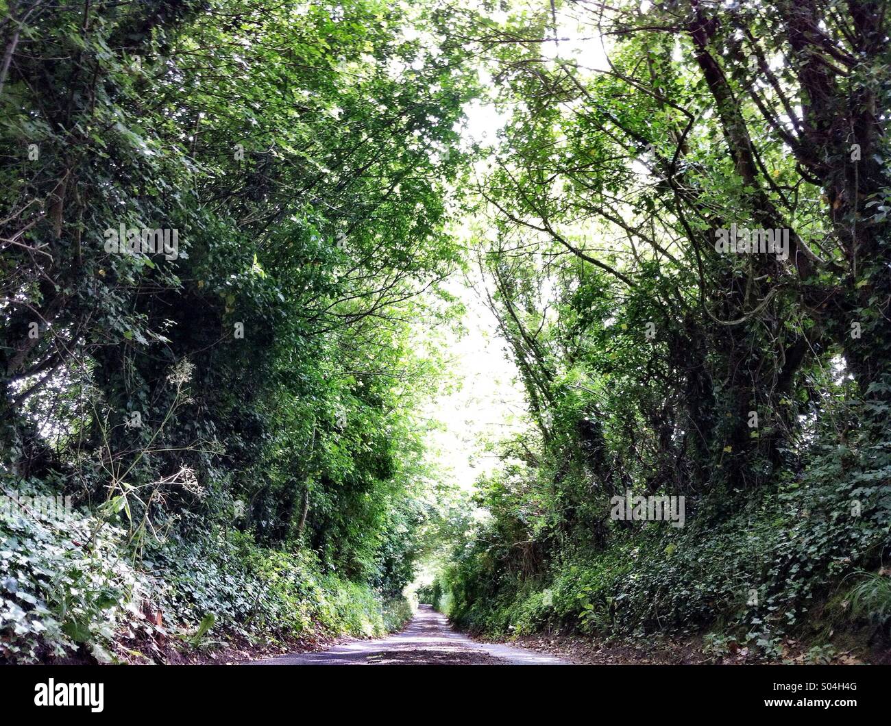 Back road in the countryside Stock Photo - Alamy