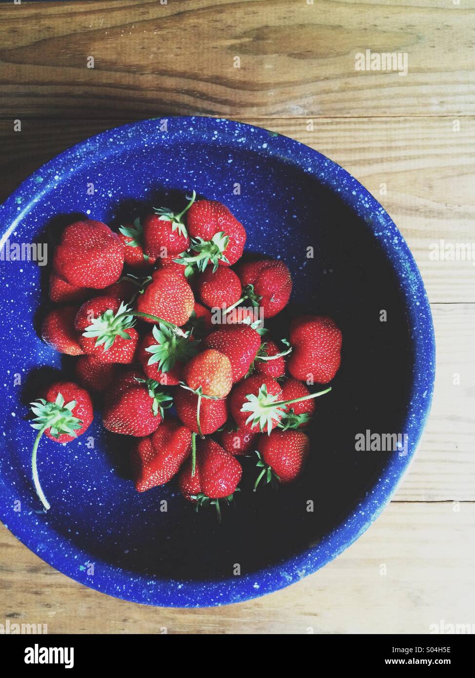 Locally picked strawberries Stock Photo - Alamy