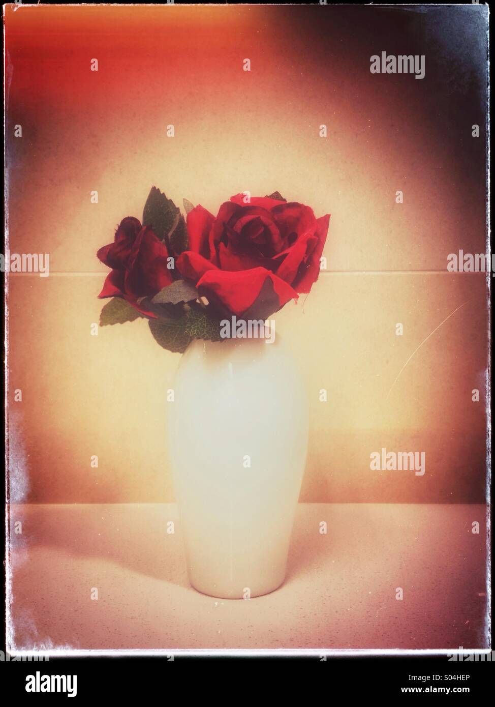Red roses in white vase Stock Photo - Alamy