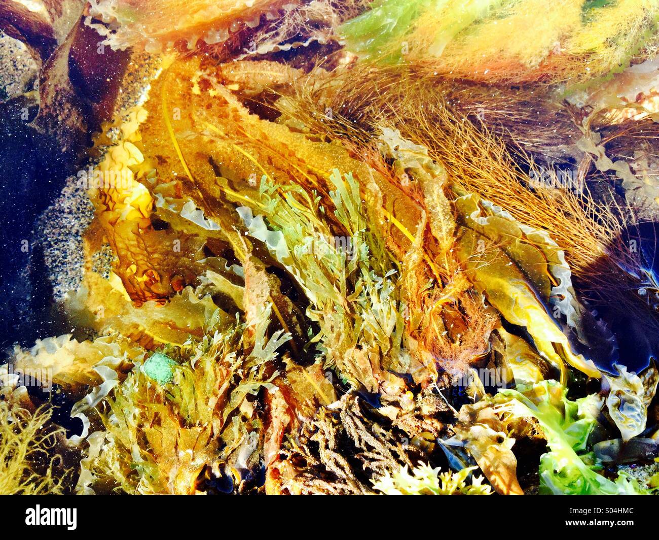 Fluidity nature hi-res stock photography and images - Alamy