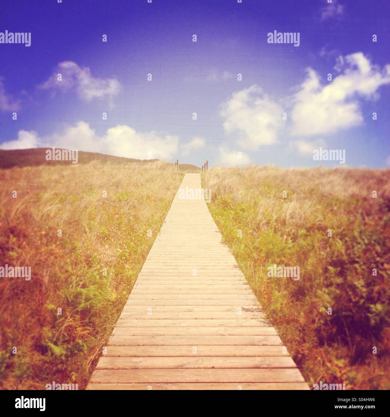 The beach road hi-res stock photography and images - Alamy