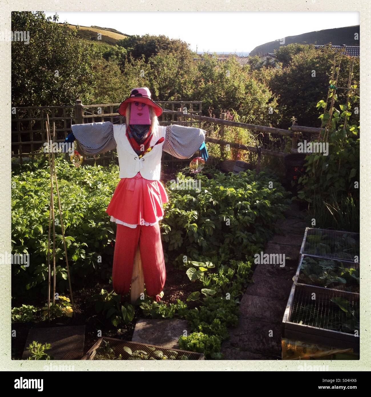 épouvantail hi-res stock photography and images - Alamy