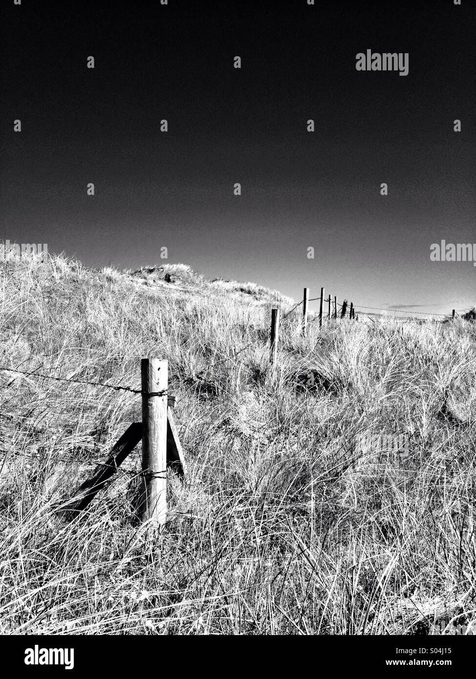 No fences hi-res stock photography and images - Alamy