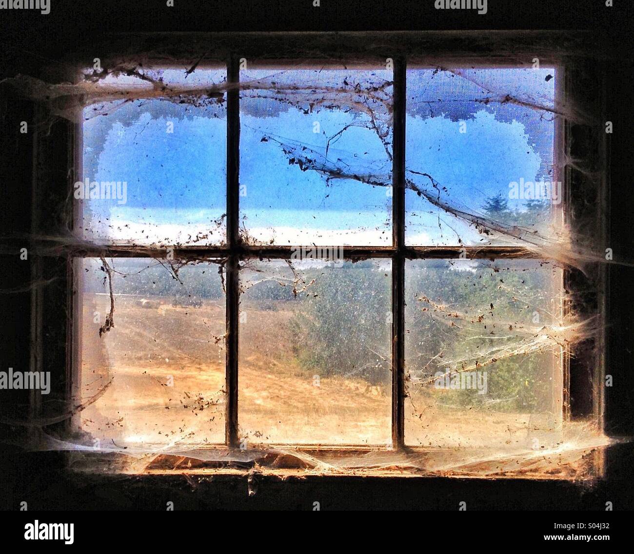 Looking back - through an old window Stock Photo - Alamy