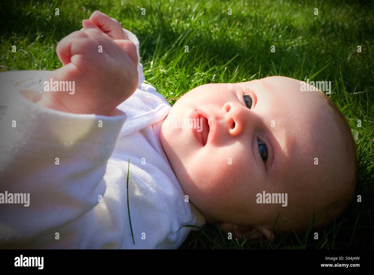 Laid To Grass High Resolution Stock Photography and Images - Alamy