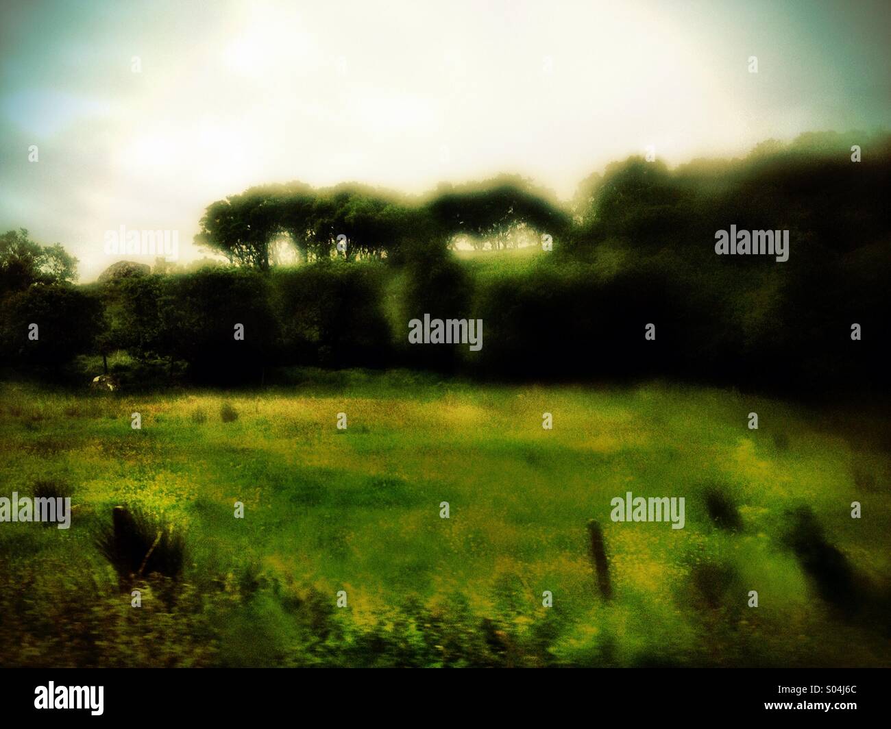 Donegal Landscape with trees Stock Photo - Alamy