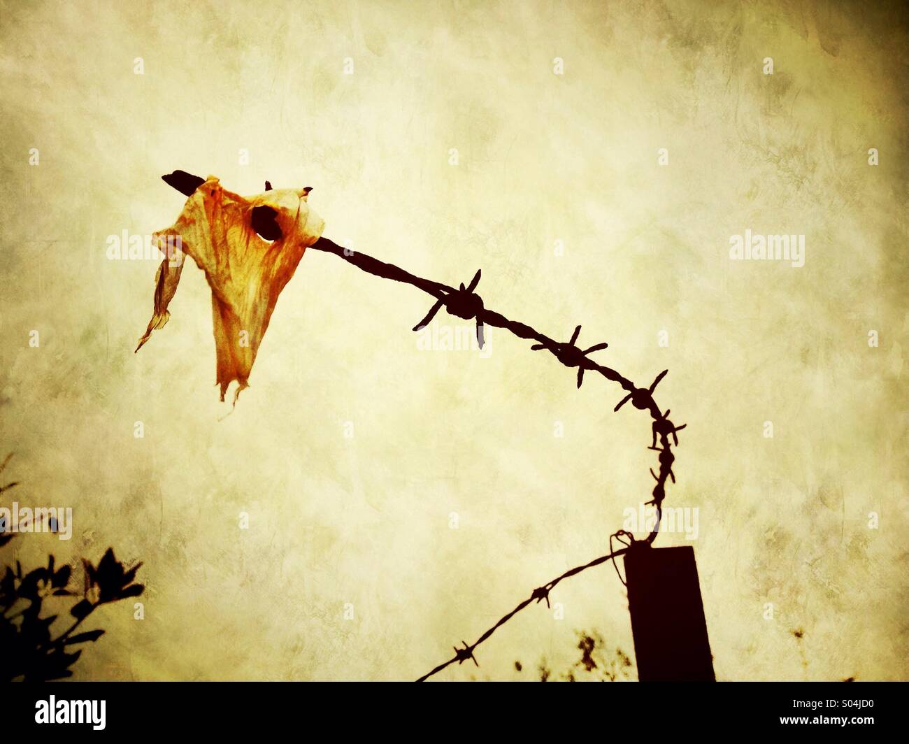 Wire scrap hi-res stock photography and images - Alamy