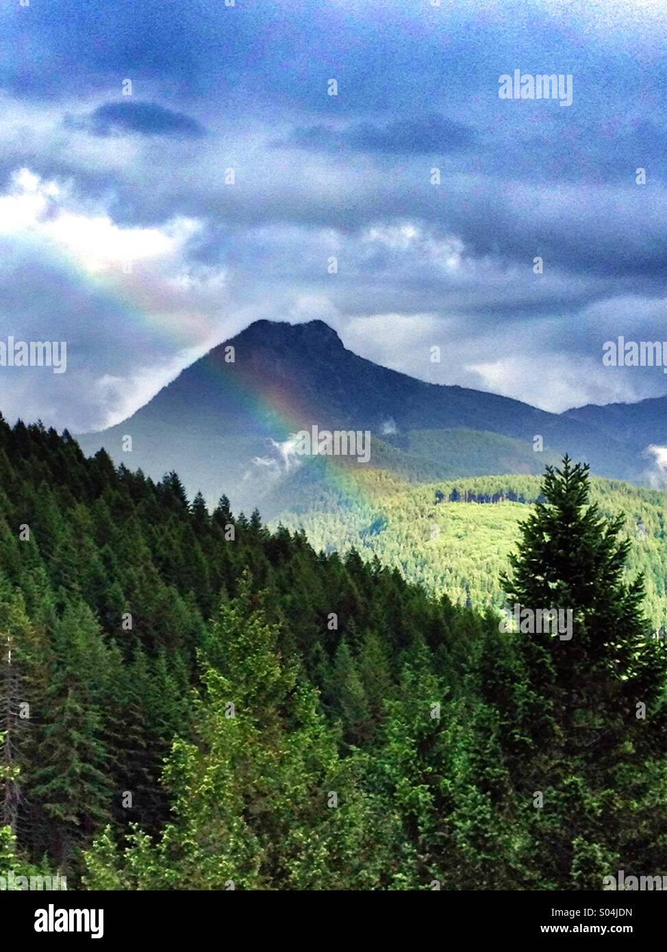 Rainbow over the forest hi-res stock photography and images - Alamy