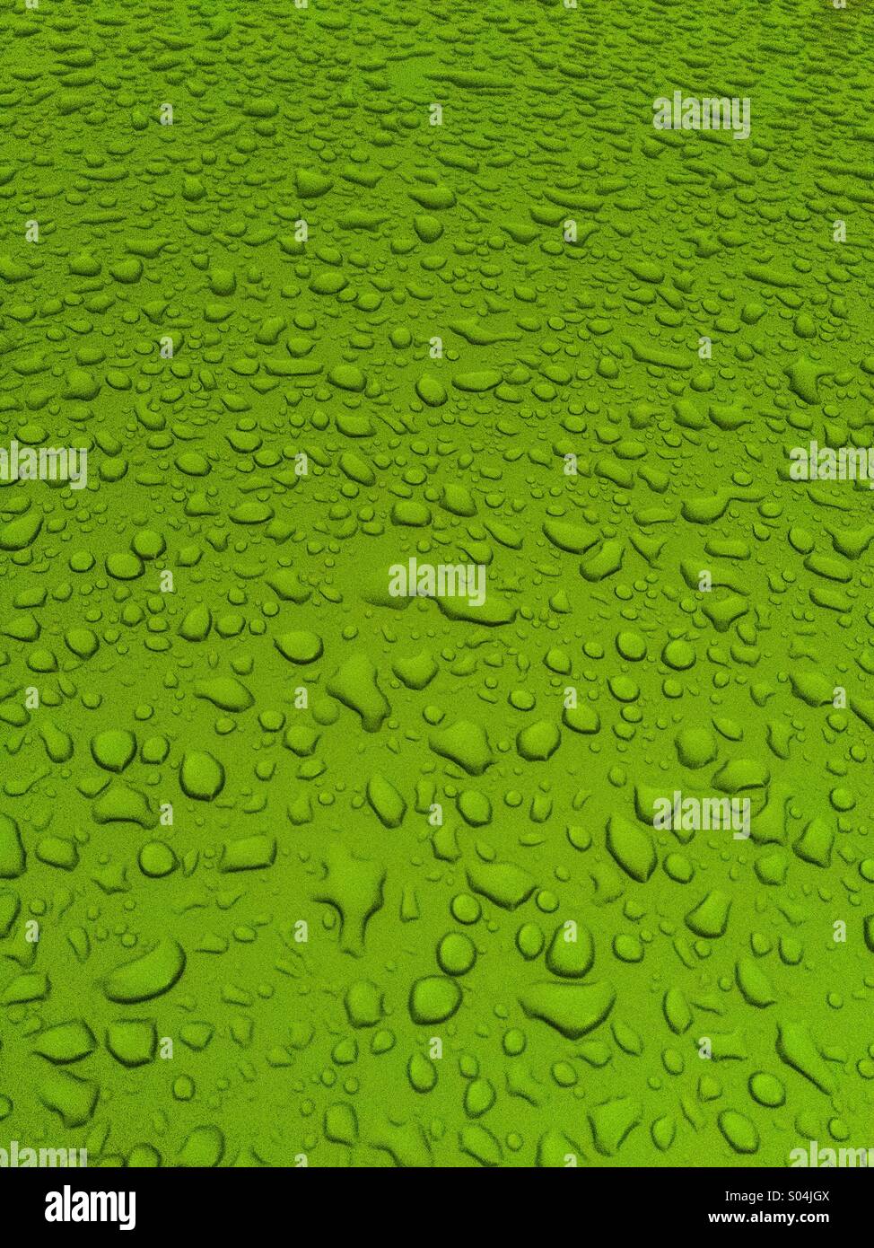 Waterdrops on green surface Stock Photo - Alamy