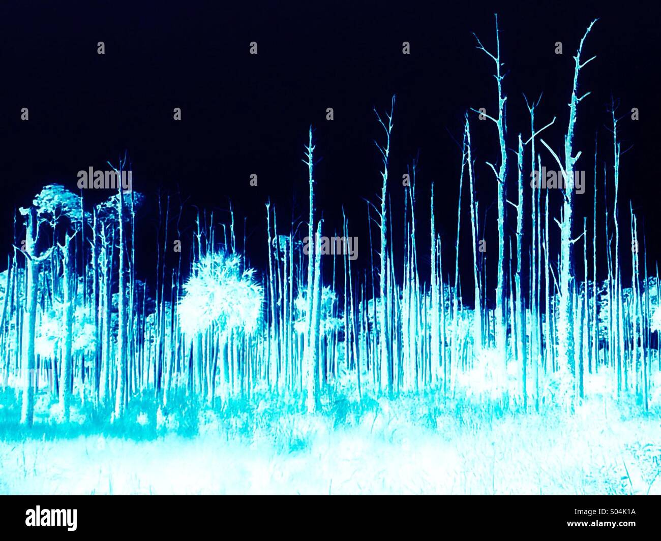 Bleak landscape hi-res stock photography and images - Alamy