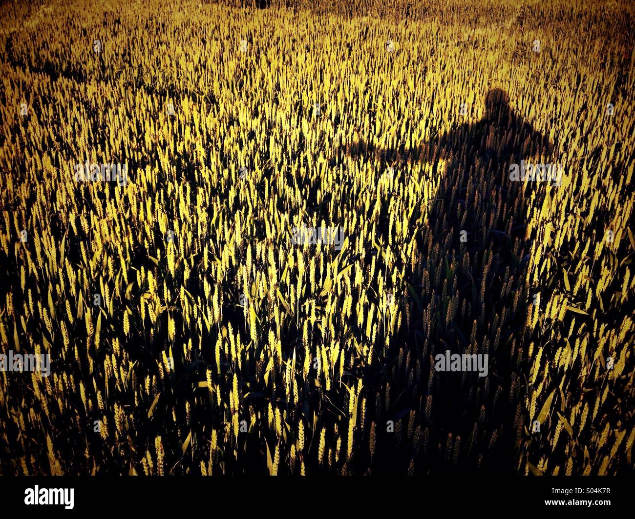 Shadow point hi-res stock photography and images - Alamy