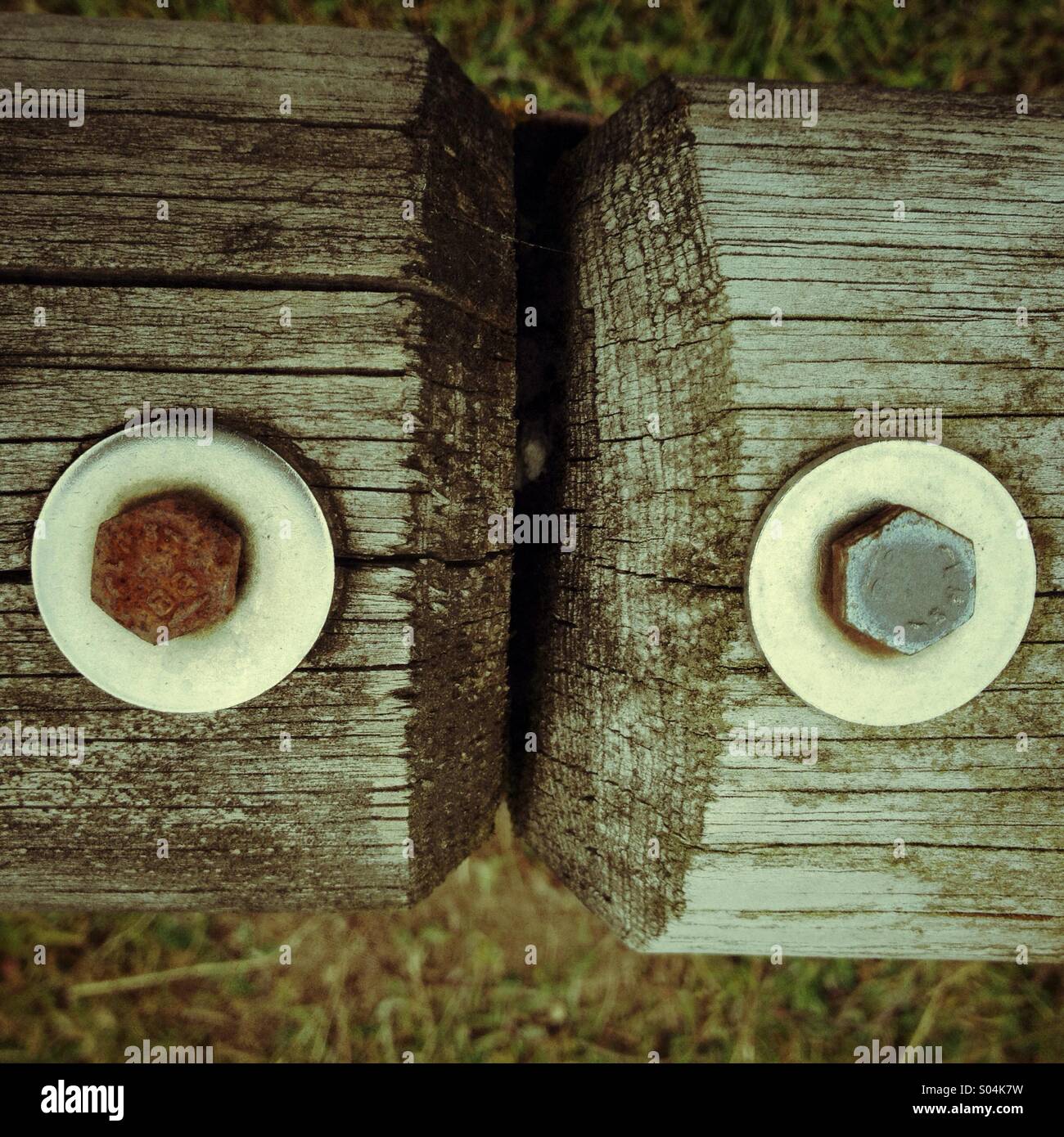 Two nuts hi-res stock photography and images - Alamy