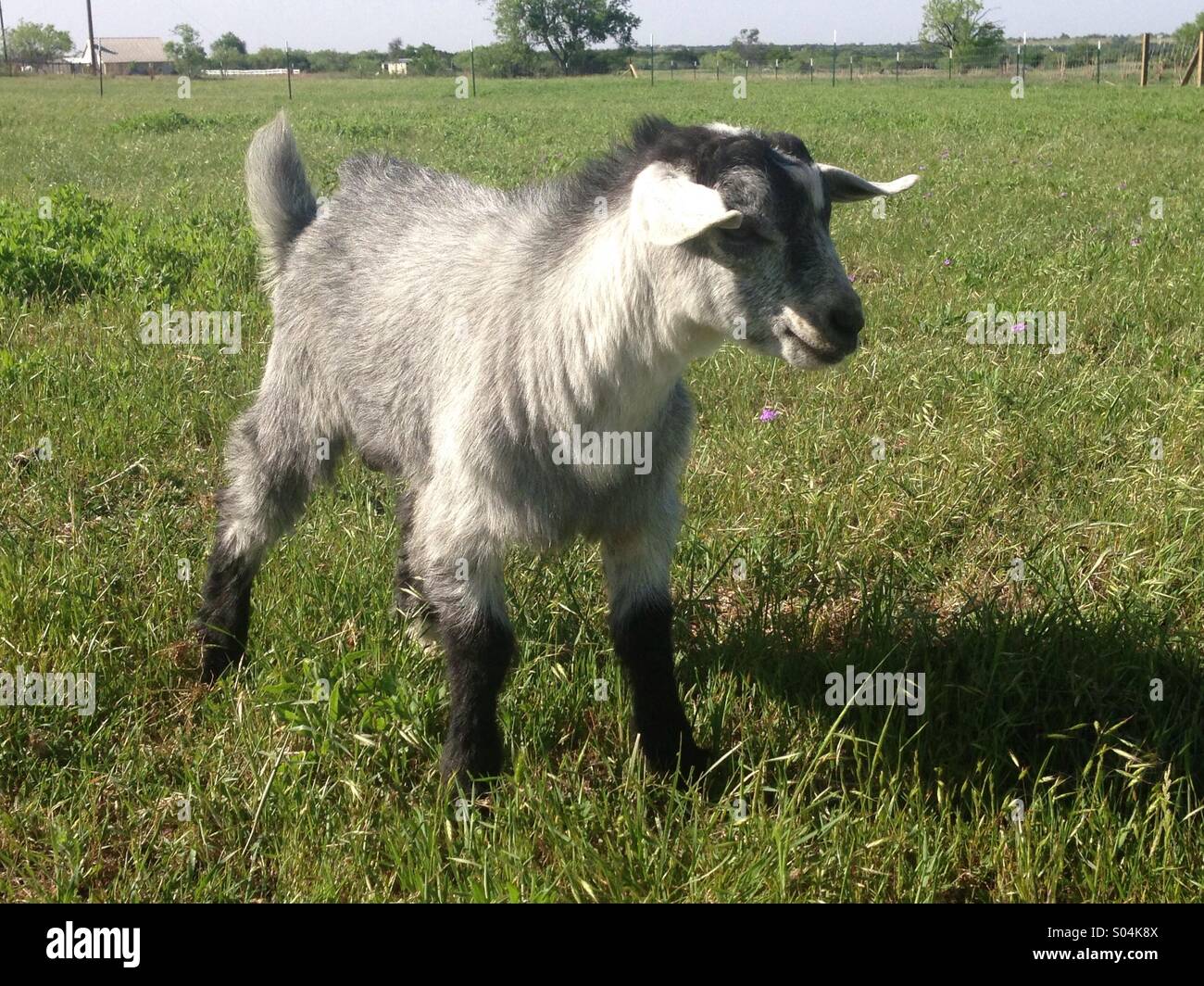 Buckling hi-res stock photography and images - Alamy