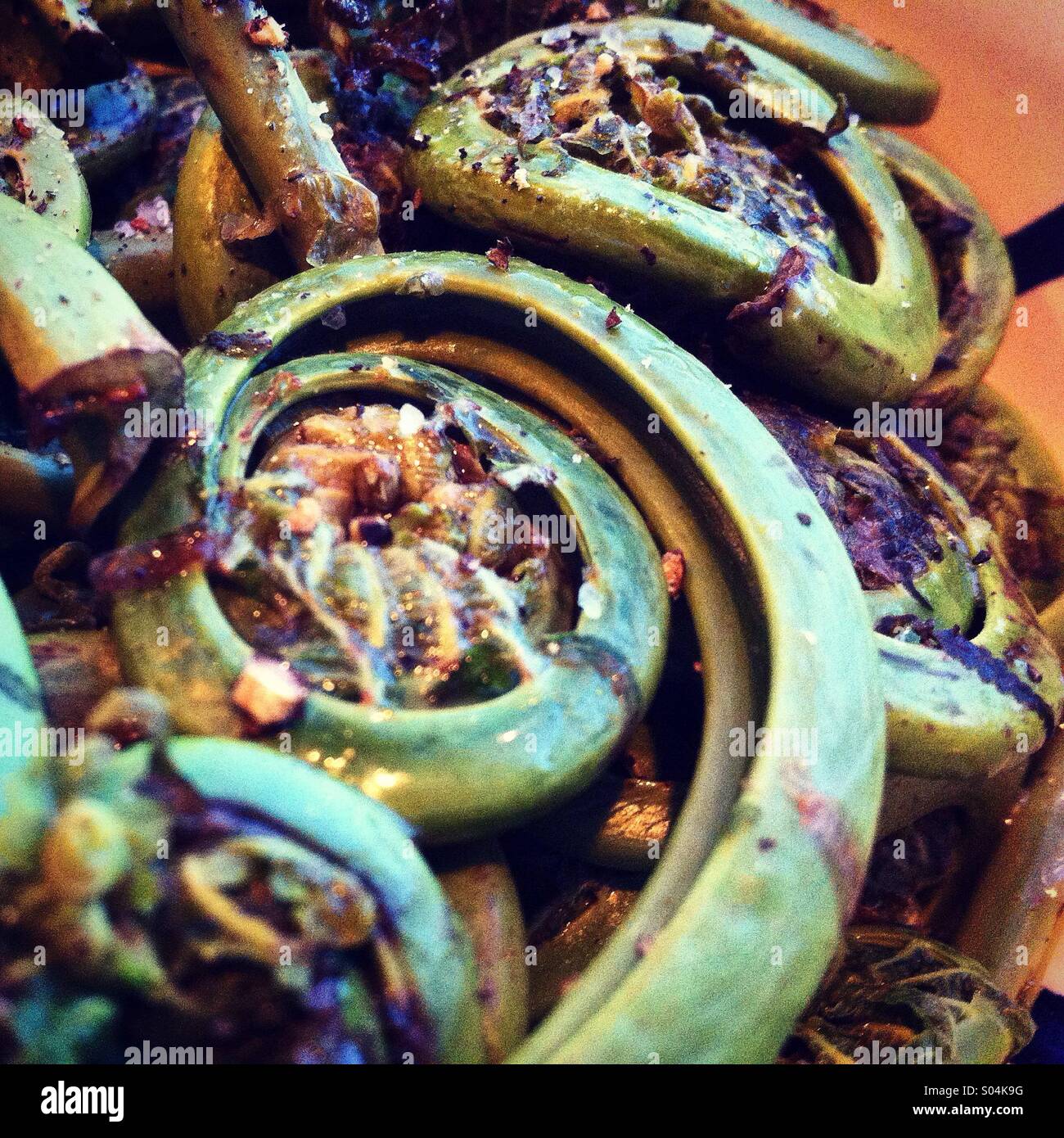 Fiddleheads hi-res stock photography and images - Alamy Fiddleheads hi-res stock photography and images - Alamy