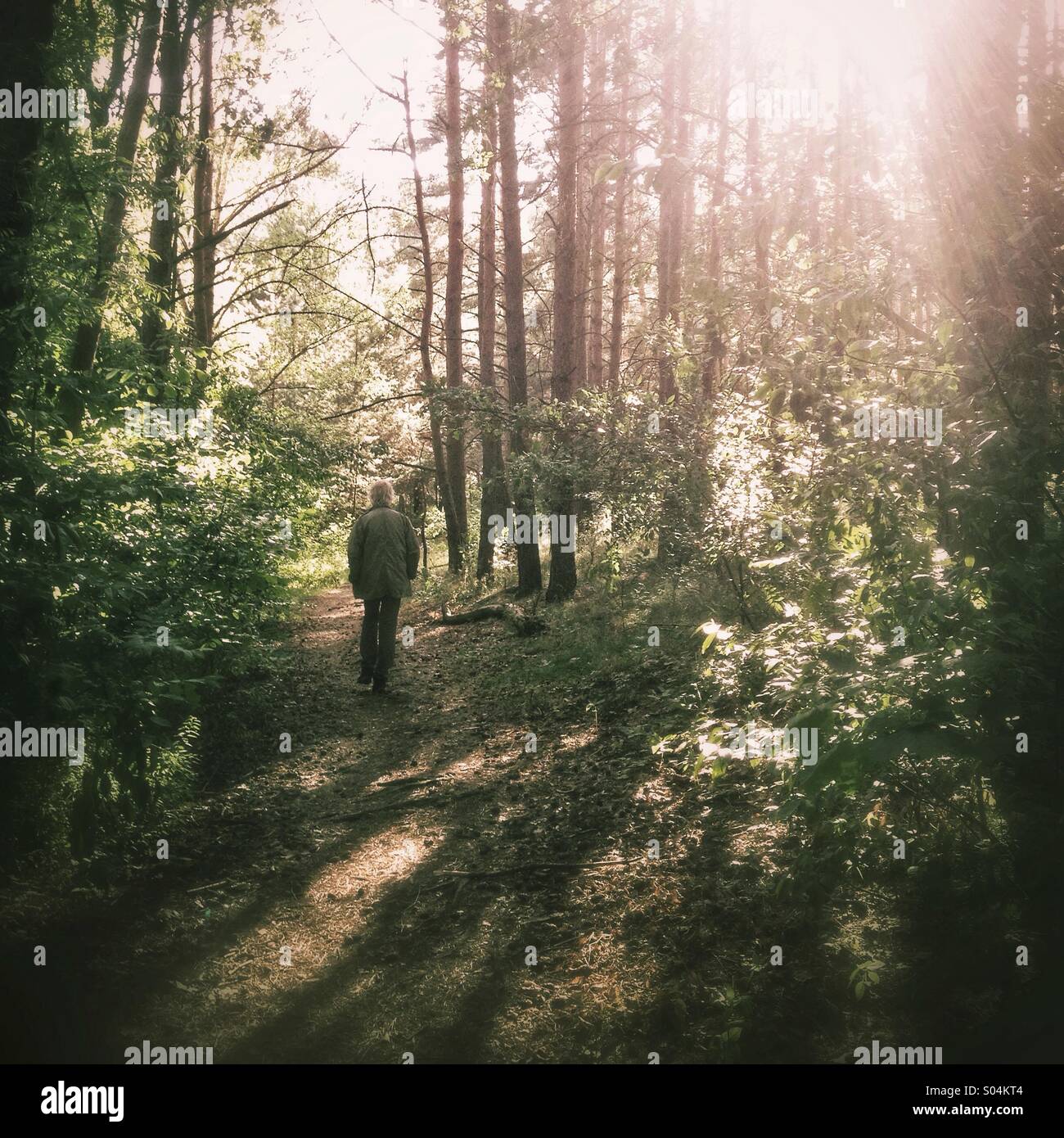 Man walking in dark woods hi-res stock photography and images - Alamy