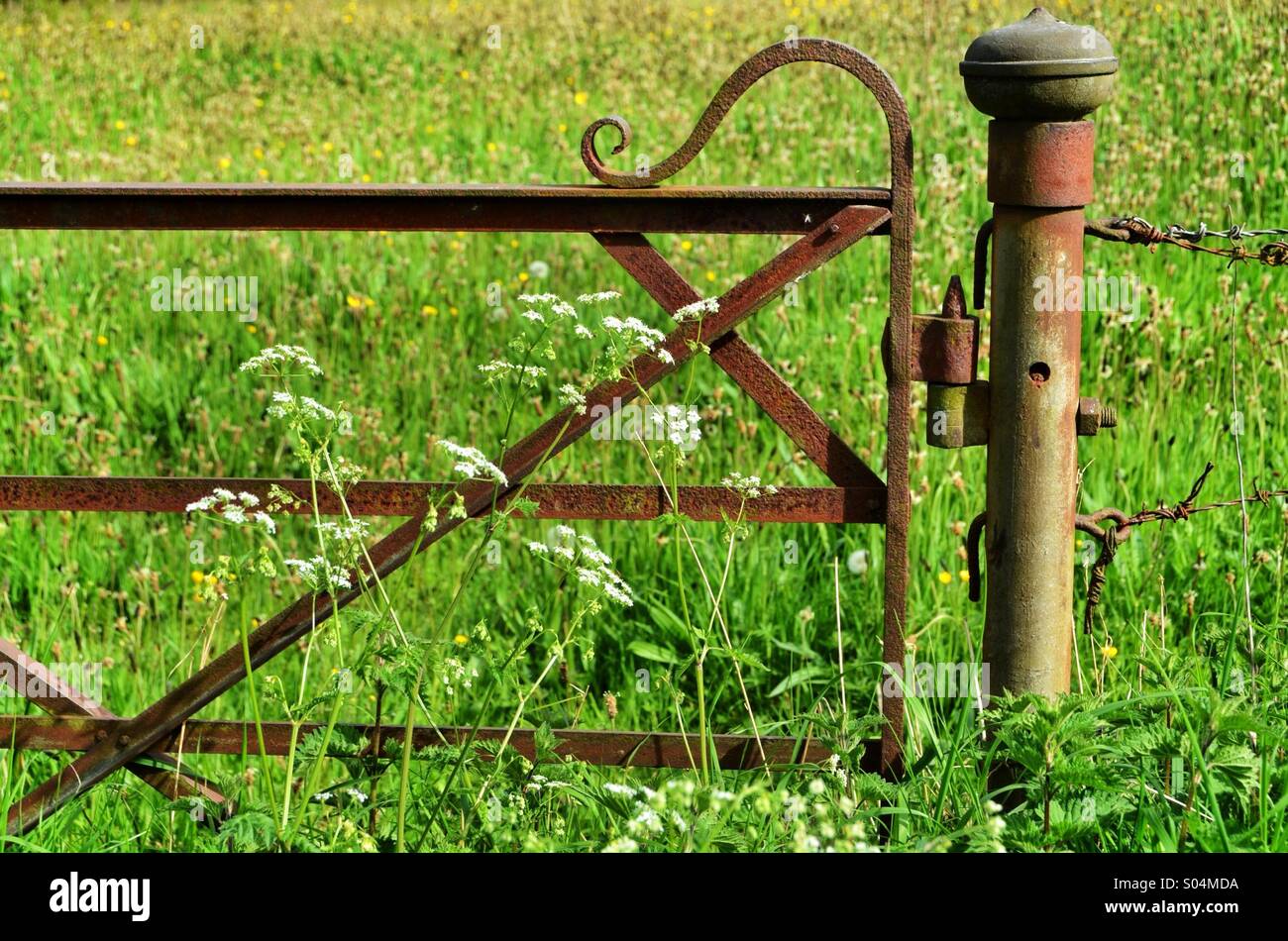 Rusting field gate hi-res stock photography and images - Alamy