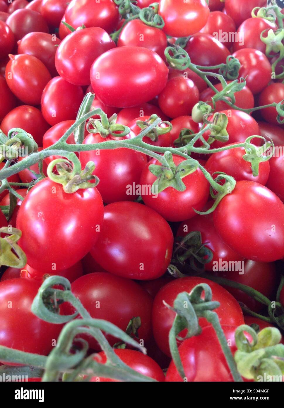 Red tomatoes organic italy hi-res stock photography and images - Alamy