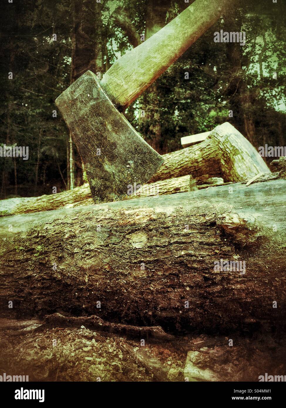 Log book cover hi-res stock photography and images - Alamy