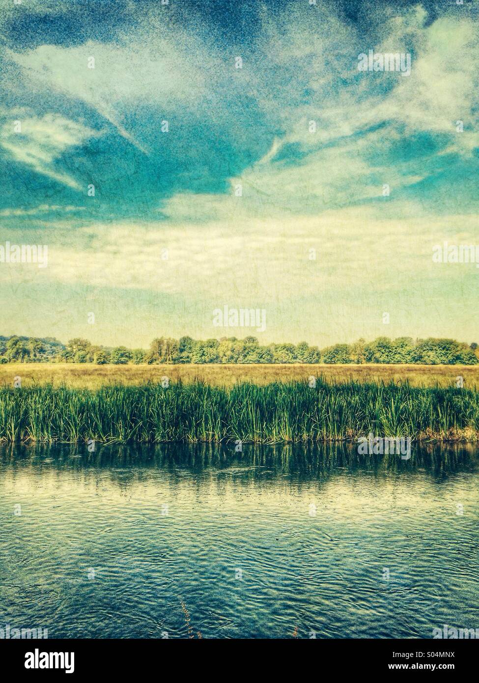 River and Reeds Stock Photo - Alamy