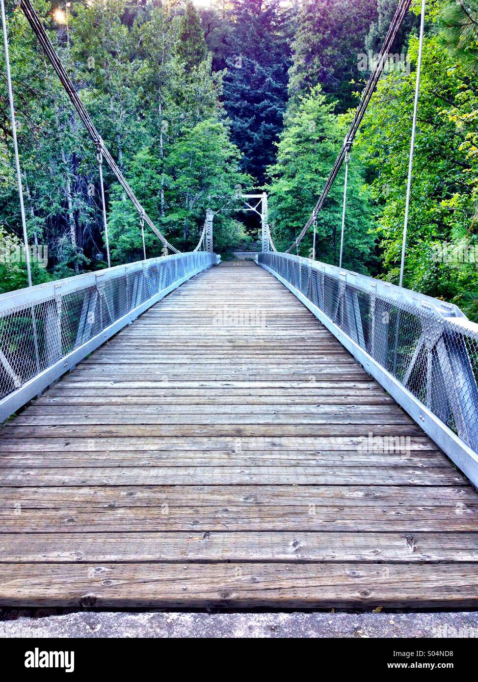 Wooden footbridge in the woods Stock Photo - Alamy