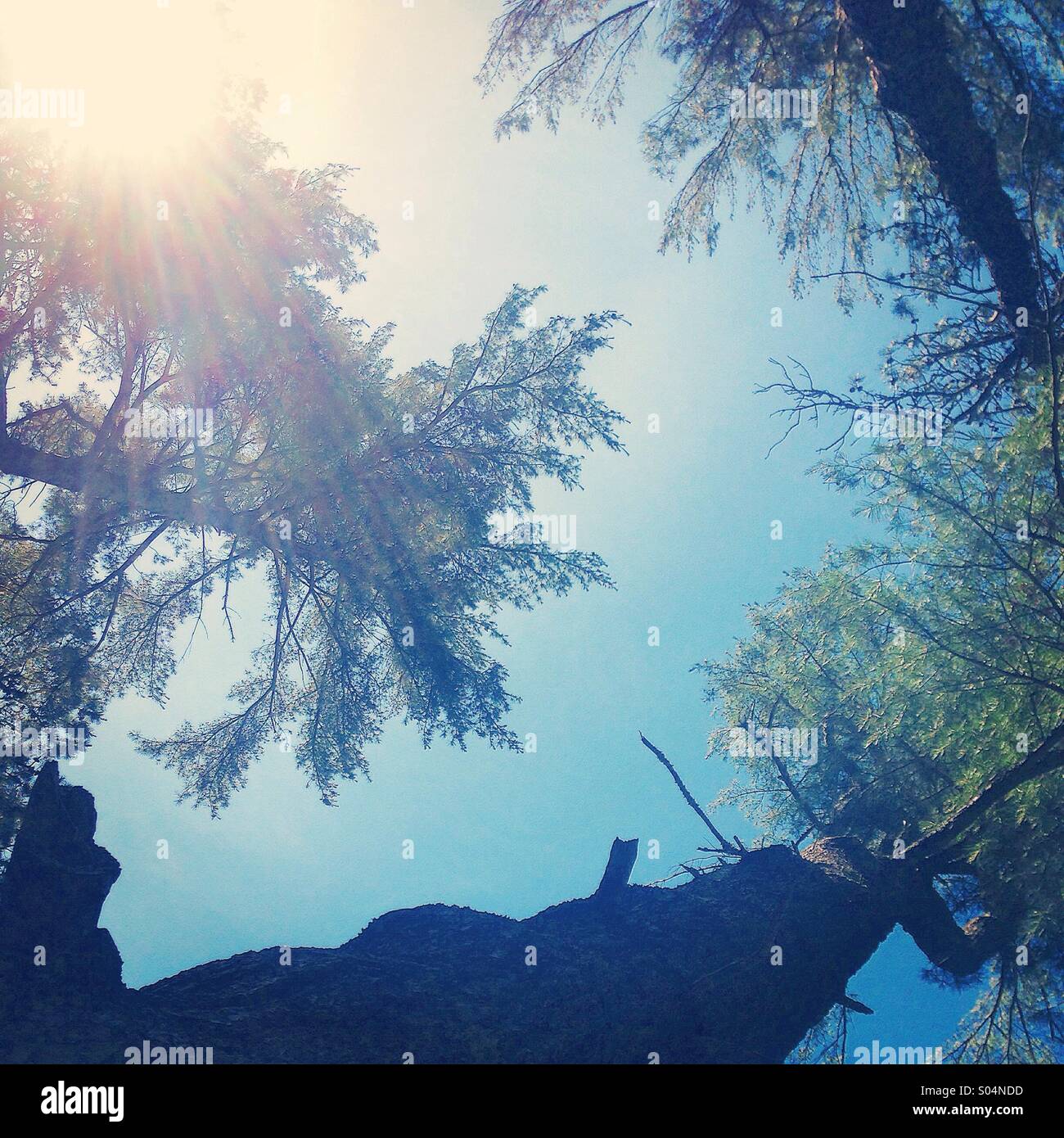 Promise of hi-res stock photography and images - Alamy