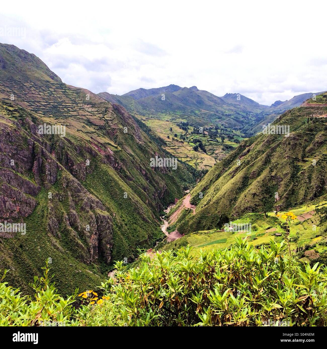 Forest andes mountains hi-res stock photography and images - Alamy