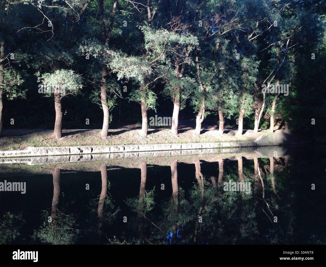 Riverside trees hi-res stock photography and images - Alamy