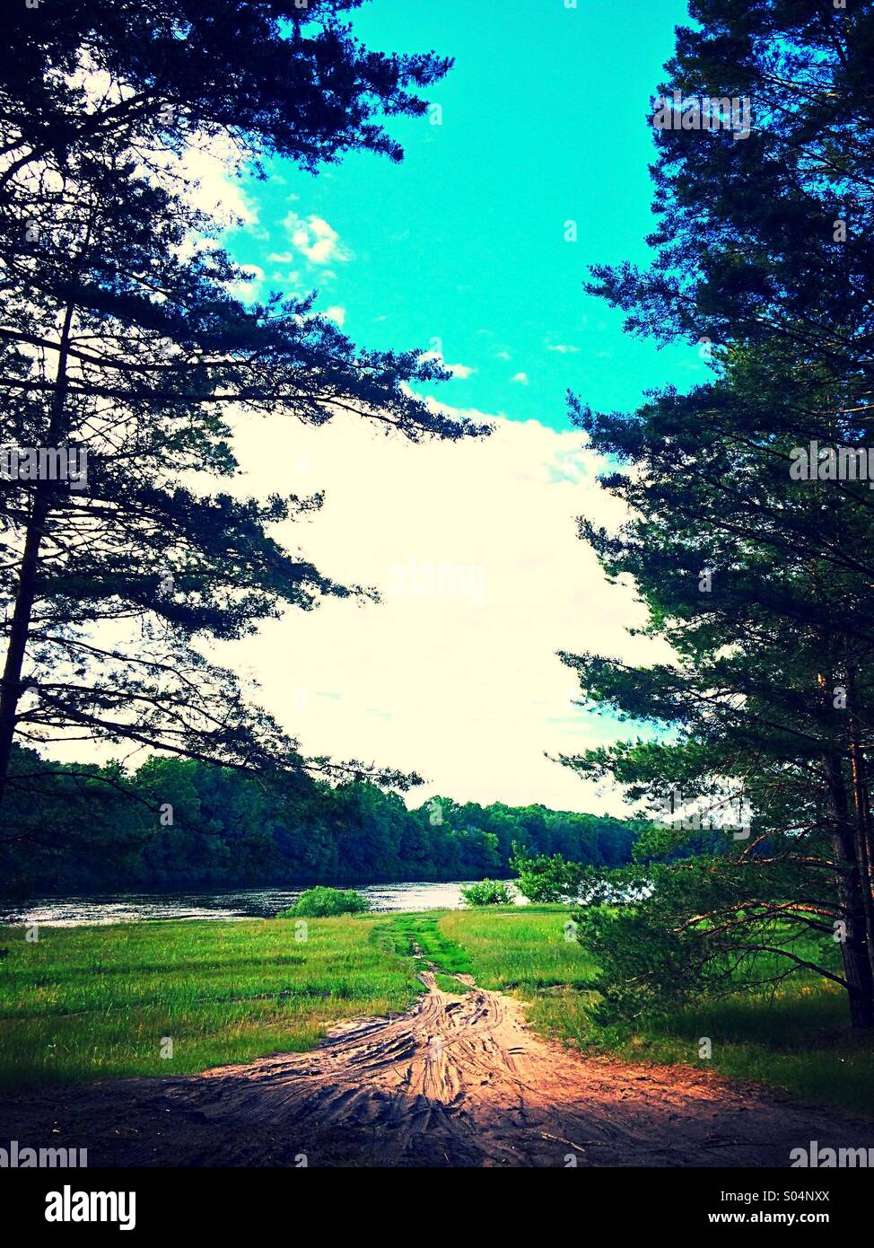 Forest path to the lake Stock Photo - Alamy