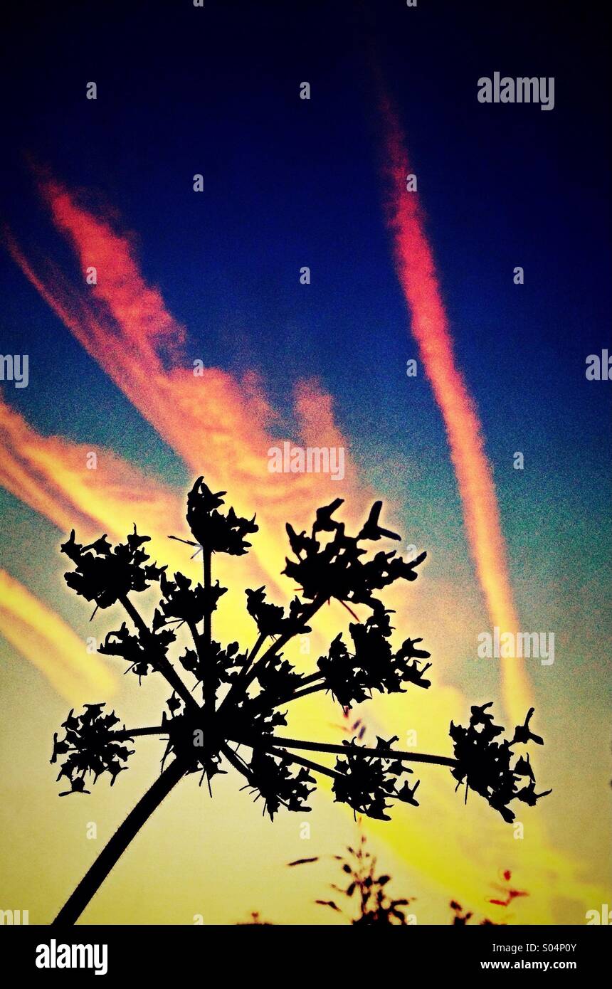 Silhouette against sunset hi-res stock photography and images - Alamy