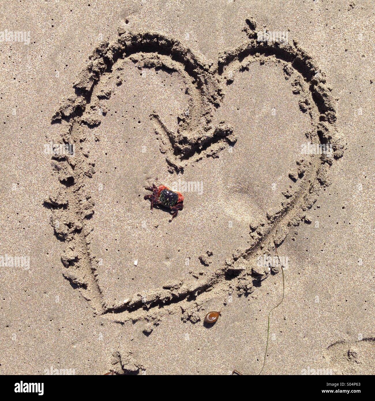 Crab heart hi-res stock photography and images - Alamy