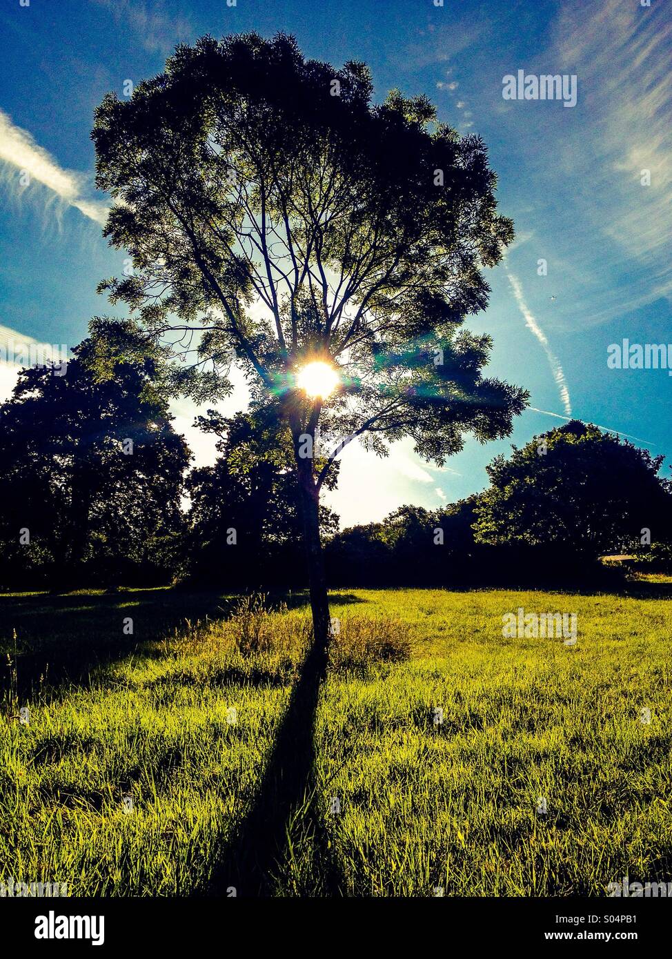 Sun casting a long shadow hi-res stock photography and images - Alamy