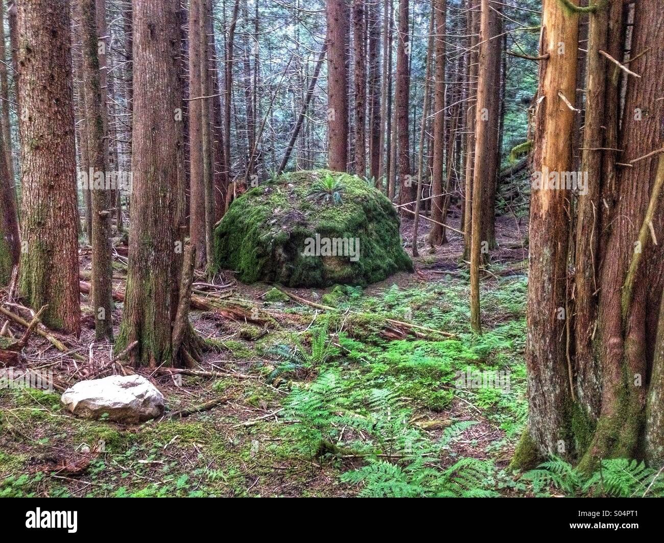 Excelsior pass hi-res stock photography and images - Alamy