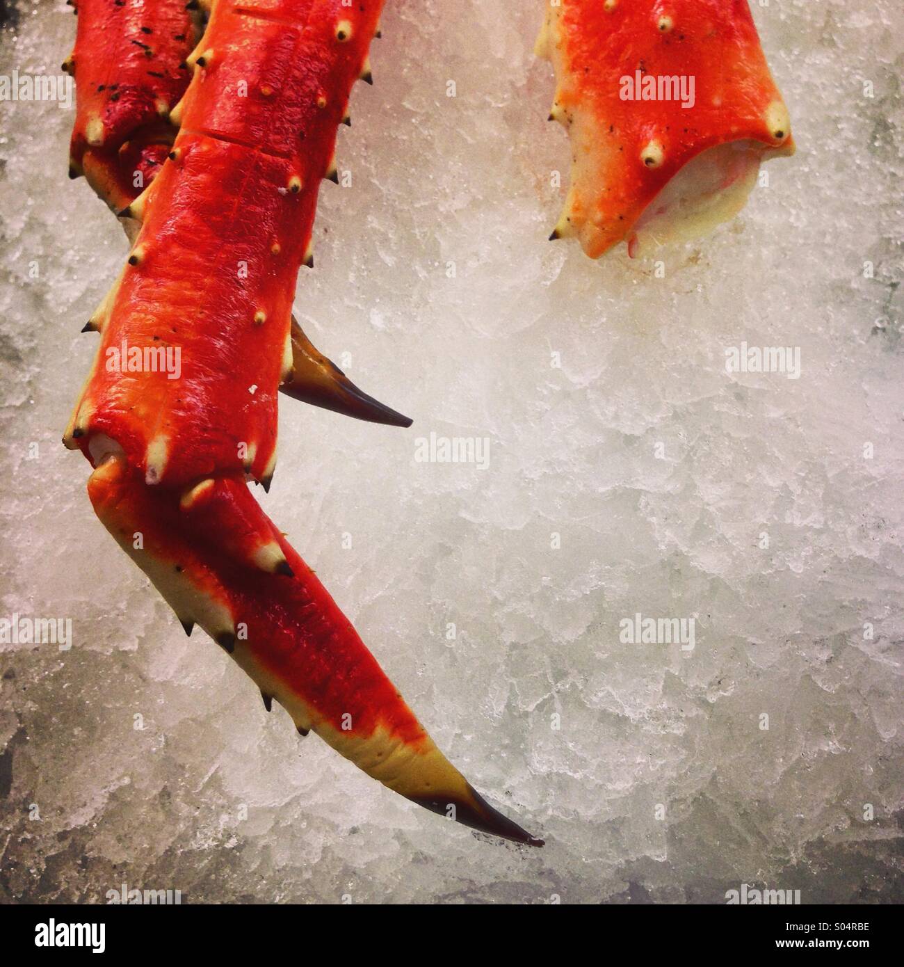 E crab hi-res stock photography and images - Alamy