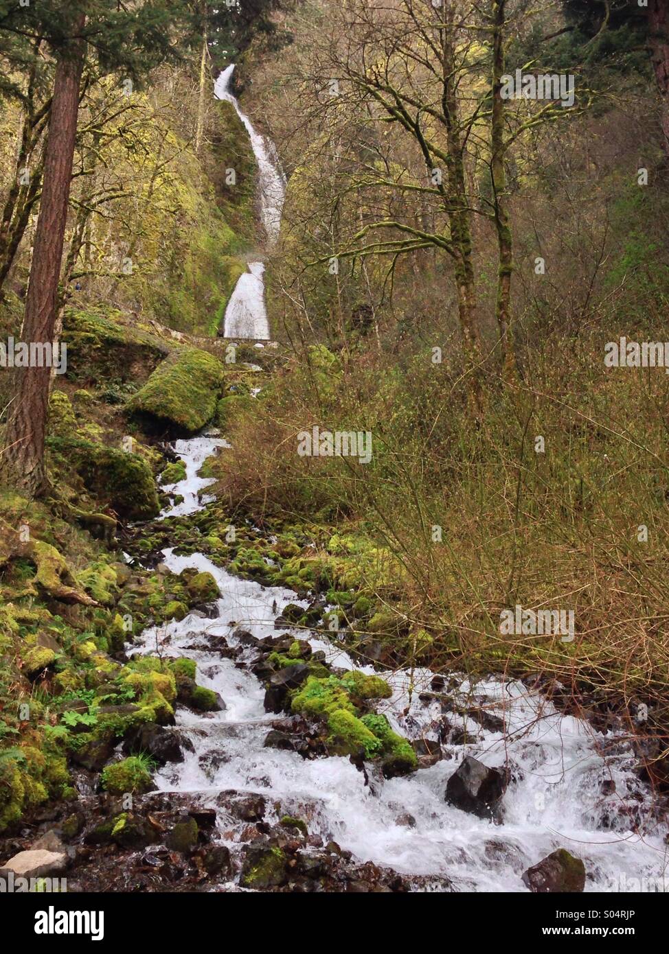 Oregon nature hi-res stock photography and images - Alamy