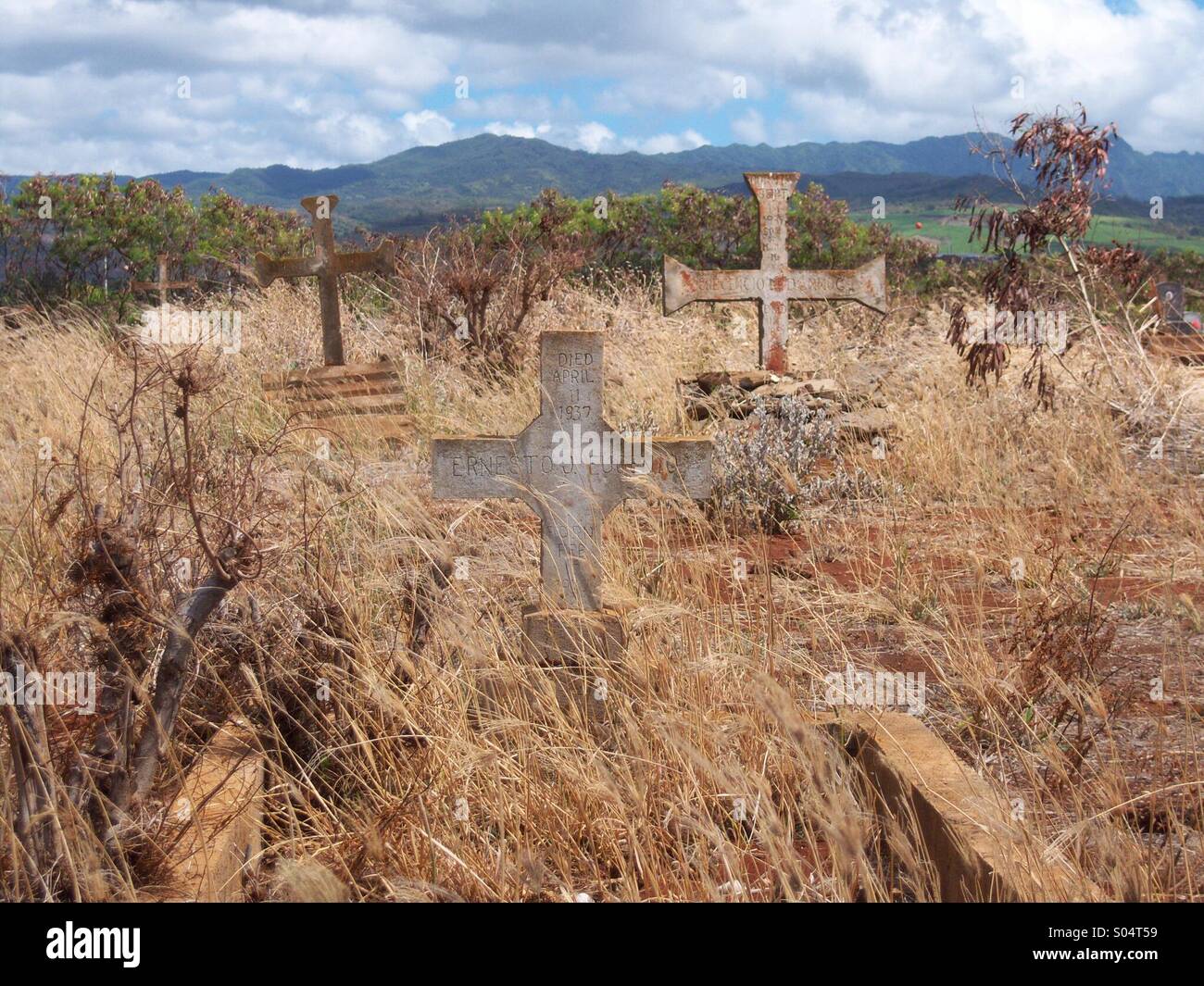 Japanese grave yard hi-res stock photography and images - Alamy