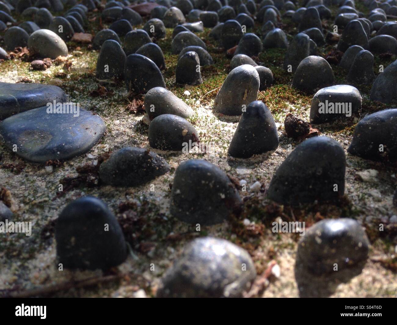 Healthy pathways hi-res stock photography and images - Alamy