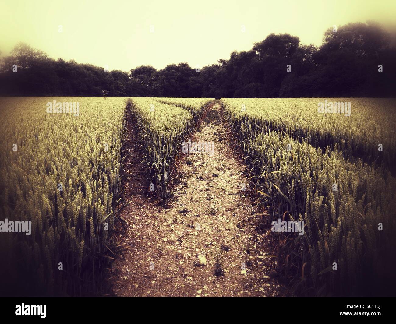 Crop paths hi-res stock photography and images - Alamy