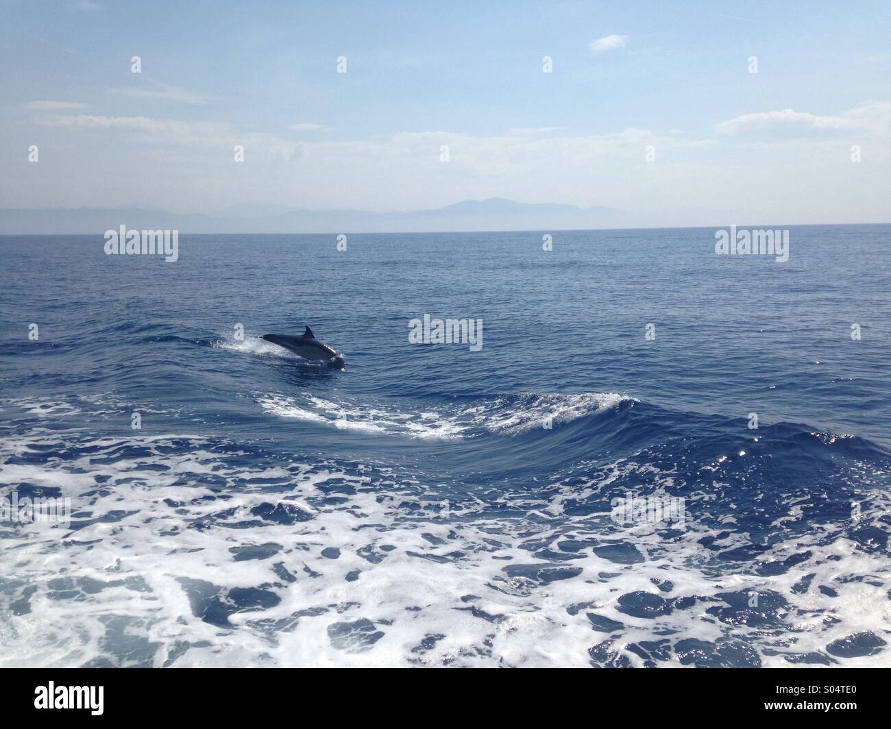 Dolphin sea europe hi-res stock photography and images - Alamy