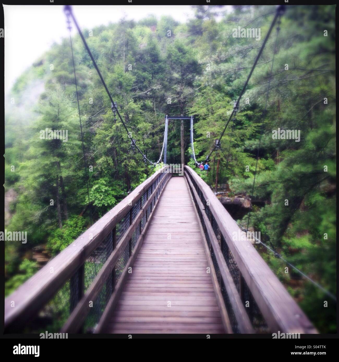 Tallulah Gorge Suspension Bridge High Resolution Stock Photography and Images - Alamy
