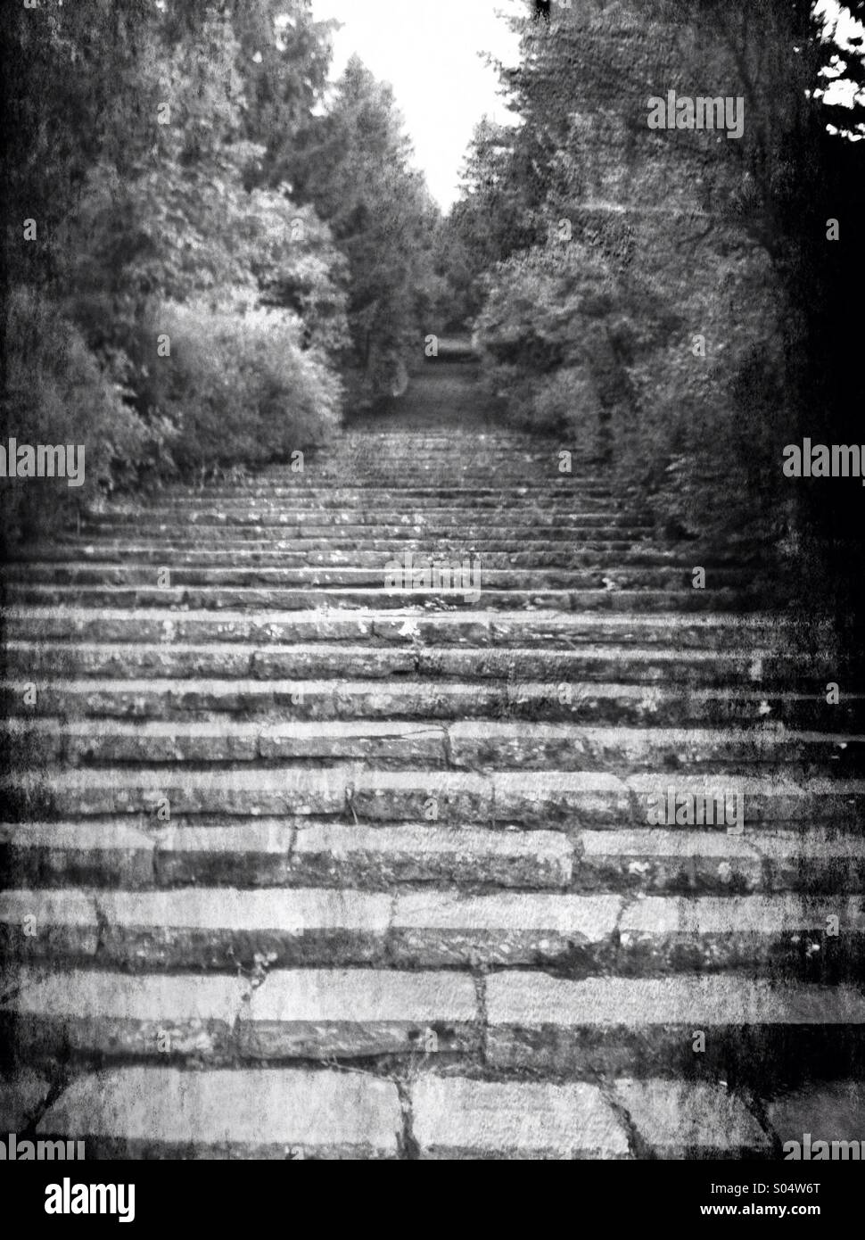 A scary stone steps Stock Photo - Alamy