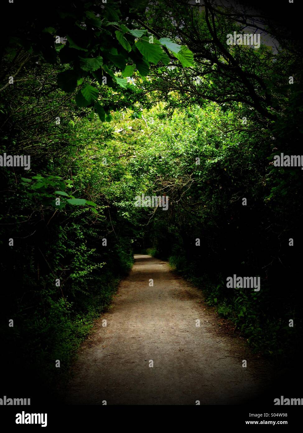 Diverging path hi-res stock photography and images - Alamy