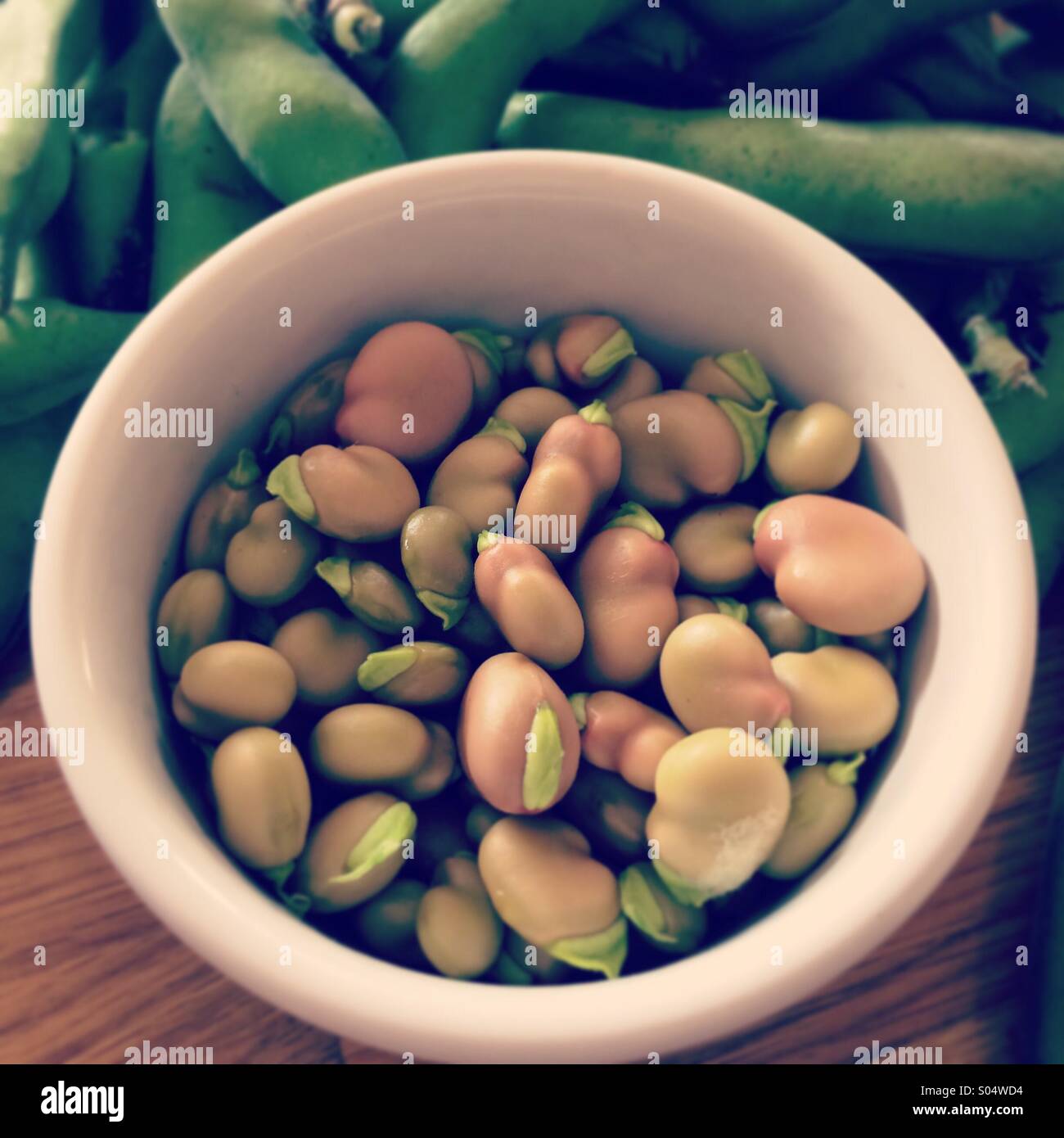 Grown your own hi-res stock photography and images - Alamy